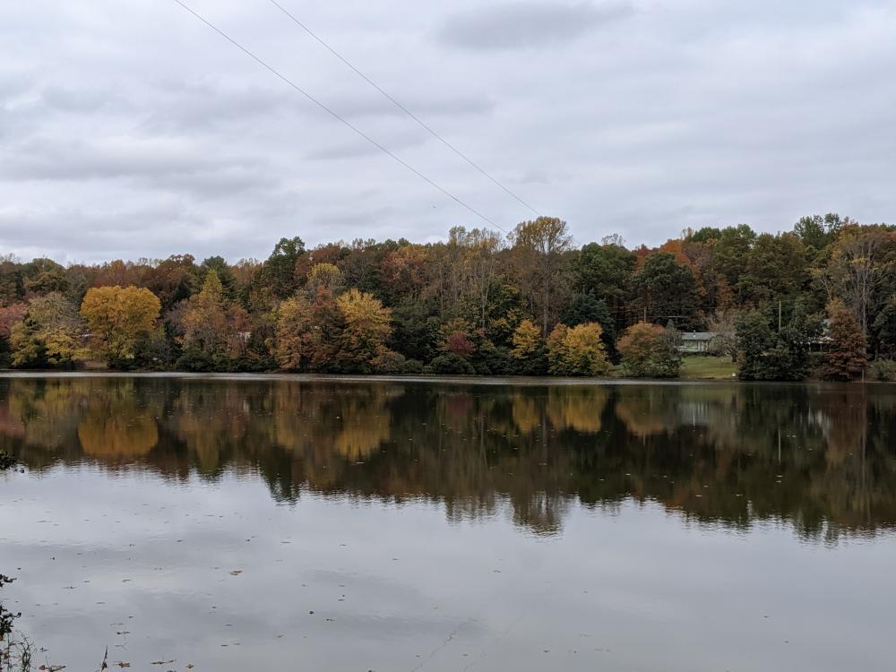 43. Take a wildlife-packed excursion to Ruritan Lake. | Fluvanna County ...